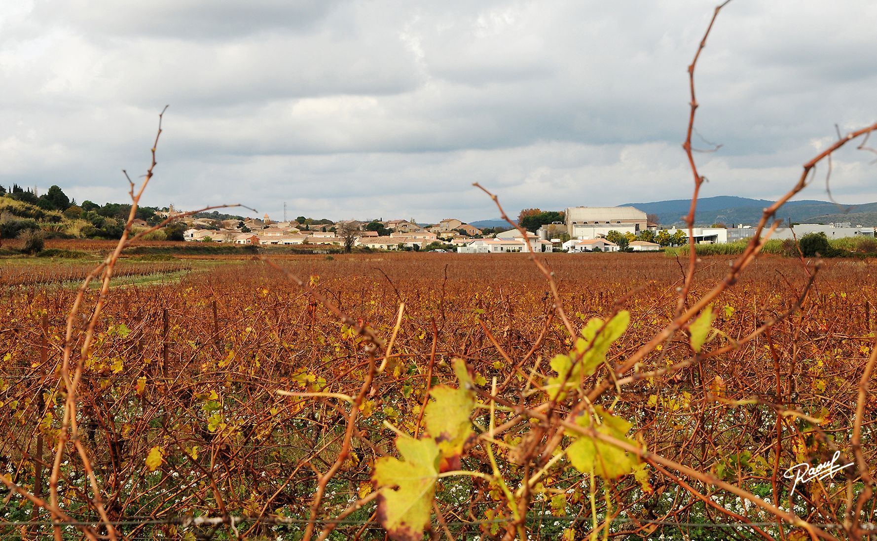 Mairie de Roujan : Présentation du village